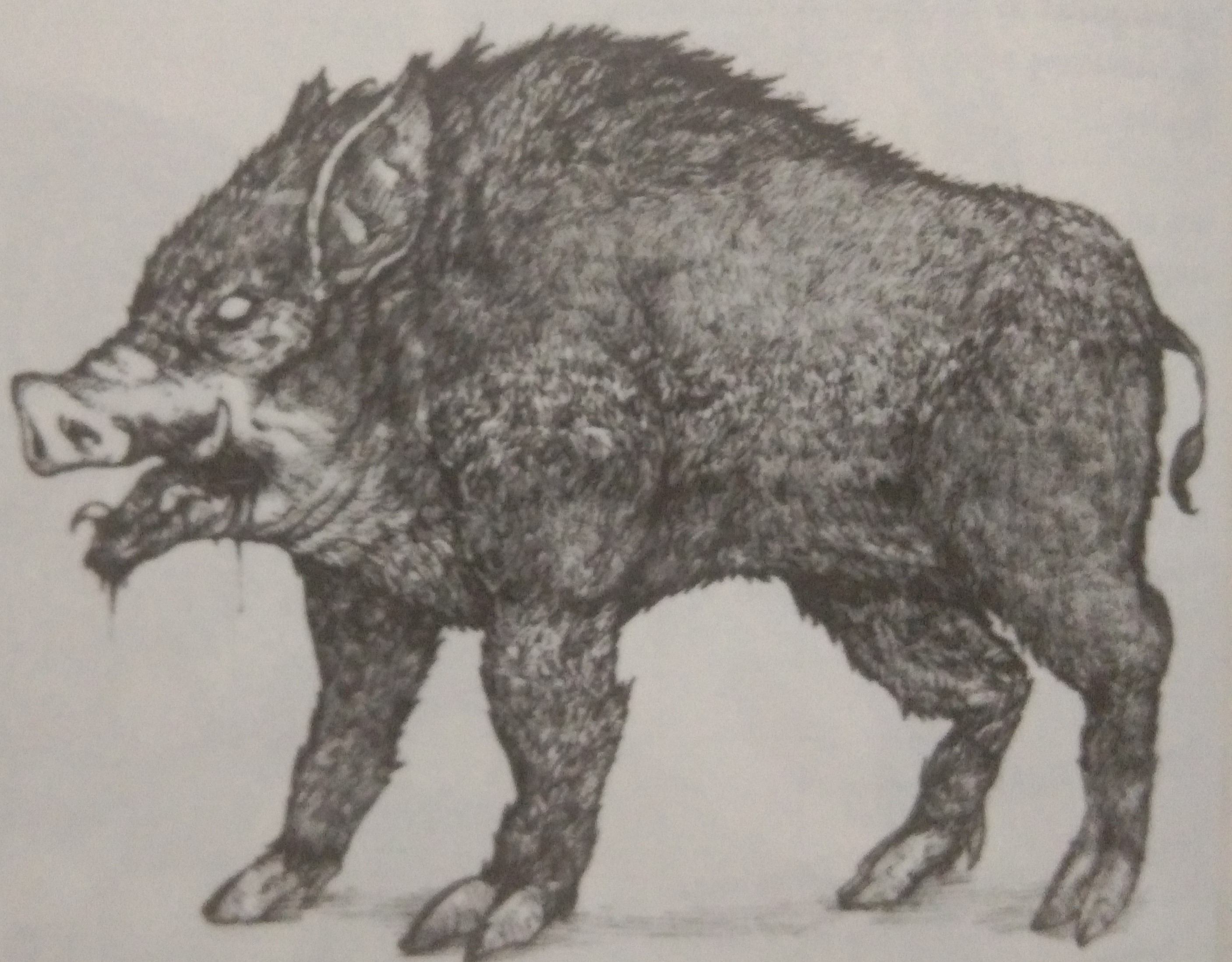 Kiwig - Philimytho Library